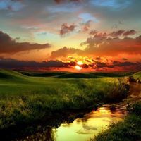 Bloodhype (Pip & Flinx, #2) by Alan Dean Foster | Goodreads