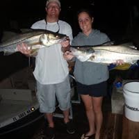 The Mango Tree: A Memoir of Fruit, Florida, and Felony by Annabelle ...