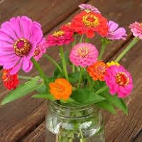 I'm a Little Teapot by Iza Trapani | Goodreads