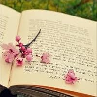 Are there any inappropriate scenes in this... — The Queen's... Q&A