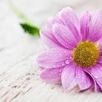 Touched by Death by T.L. Martin | Goodreads