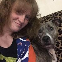 Man on a Red Horse by Fred Grove | Goodreads