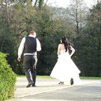 The Sudden Impulse by Bernt Stellander | Goodreads