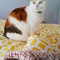 Human Croquet by Kate Atkinson | Goodreads