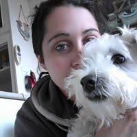 Evergreen: Discover the Joy in Every Season by Lydia Elise Millen ...