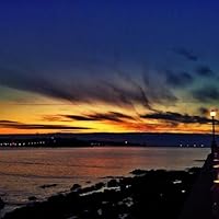 Thieves I've Known: Stories by Tom Kealey | Goodreads