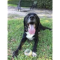 She Looks Just Like You: A Memoir of (Nonbiological Lesbian) Motherhood ...