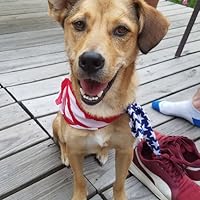 Ancillary Mercy (Imperial Radch, #3) by Ann Leckie | Goodreads