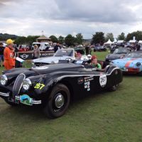 The Lonely Tree: 1 by Nicholas Halliday | Goodreads