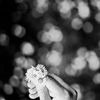 Pomegranate Soup (Babylon Café #1) by Marsha Mehran | Goodreads