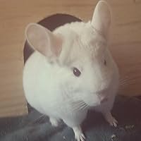 Goblins in the Castle (Minstrel Book) by Bruce Coville | Goodreads