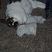 A Life Without Water (A Life Without #1) by Marci Bolden | Goodreads