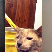 One Silver Summer by Rachel Hickman | Goodreads