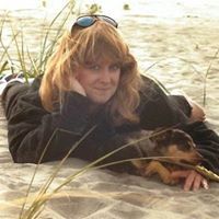 Zip by Ellie Rollins | Goodreads