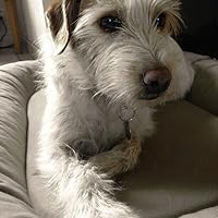 The Angel Tree by Lucinda Riley | Goodreads