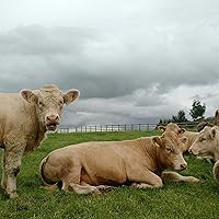 Aunt Sookie & Me by Michael Scott Garvin | Goodreads