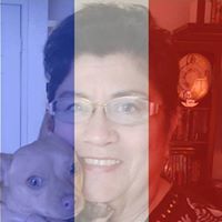 Wolfsbane Investigations: The Complete 5-Books Series by Clara Kendrick ...