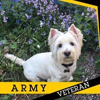 Gallipoli by Peter Hart | Goodreads