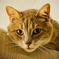 Lifemarked (The Fatemarked Epic, #5) by David Estes | Goodreads