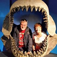 Vulcan 607: The Epic Story of the Most Remarkable British Air Attack ...