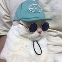 A Baroque Fable by Chelsea Quinn Yarbro | Goodreads