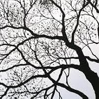 Captive by A.J. Grainger | Goodreads