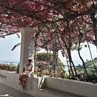 Shadow Crown (Shadow Crown, #1) by Kristen Martin | Goodreads