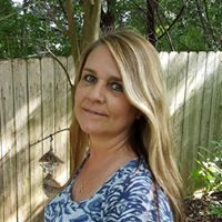 The Space Between: The Prophecy of Faeries by Susan Rooke | Goodreads