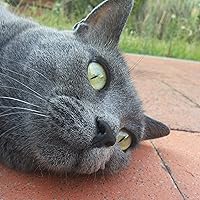 Entitled: How Male Privilege Hurts Women by Kate Manne | Goodreads