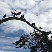 Rule of Law by Randy Singer | Goodreads