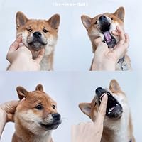 Perfect on Paper by Janet Goss | Goodreads