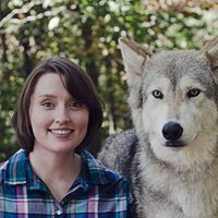 Affabel by John Bevere | Goodreads