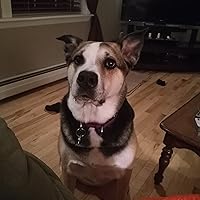 God's Other Son by Don Imus | Goodreads