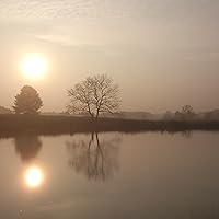 One River: Explorations and Discoveries in the Amazon Rain Forest by ...