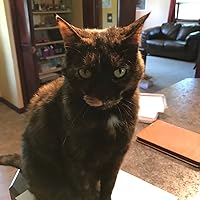 Leonard (My Life as a Cat) by Carlie Sorosiak | Goodreads