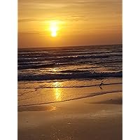 The Floating Girls by Lo Patrick | Goodreads