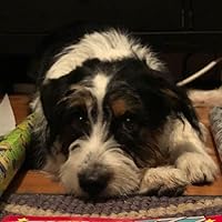 An Inheritance of Magic (Inheritance of Magic #1) by Benedict Jacka ...