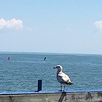 One World, Many Religions: The Ways We Worship by Mary Pope Osborne ...