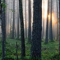 The Land Leviathan: A New Scientific Romance by Michael Moorcock ...