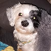 The Mark (Left Behind, #8) by Tim LaHaye | Goodreads