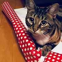 You May Already Be a Winner by Ann Dee Ellis | Goodreads