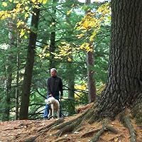 You Feel So Mortal: Essays on the Body by Peggy Shinner | Goodreads