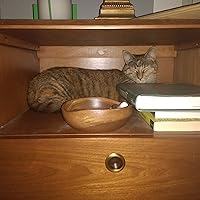 The Liars Society (The Liars Society #1) by Alyson Gerber | Goodreads