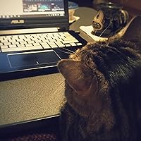 Wisdom Sits in Places: Landscape and Language Among the Western Apache ...