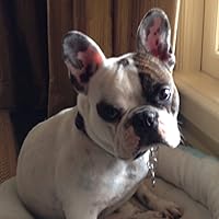 Nehemiah Member Book: A Heart That Can Break by Kelly Minter | Goodreads