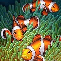 The Battle of Riptide (Sharks Wars, #2) by E.J. Altbacker | Goodreads