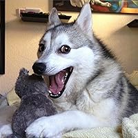 To Steal a Bride (Entangled with the Enduar, #1) by Daniela A. Mera | Goodreads