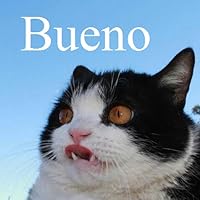 The Universal Computer: The Road from Leibniz to Turing by Martin D ...