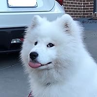 Mandragora by David McRobbie | Goodreads