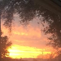 Fancy Nancy: Apples Galore! (I Can Read Level 1) by Jane O'Connor ...